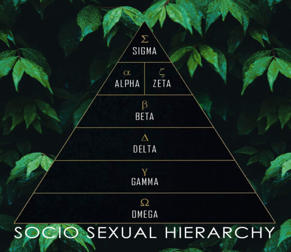 Seven types of Male Personalities - The WFY