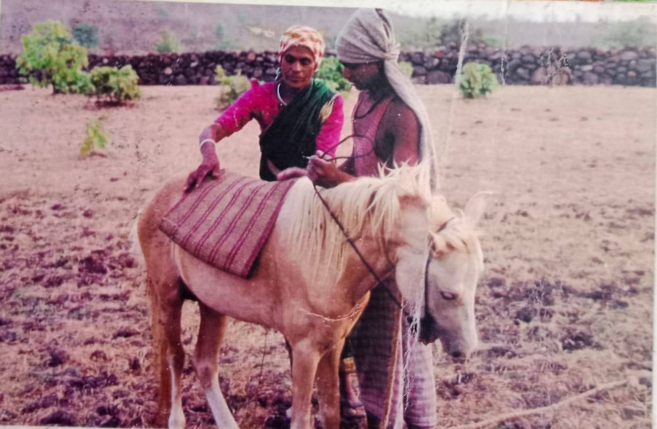 Daya Bai The Textbook of Mercy ! A Life Extraordinaire: Love Sans ...