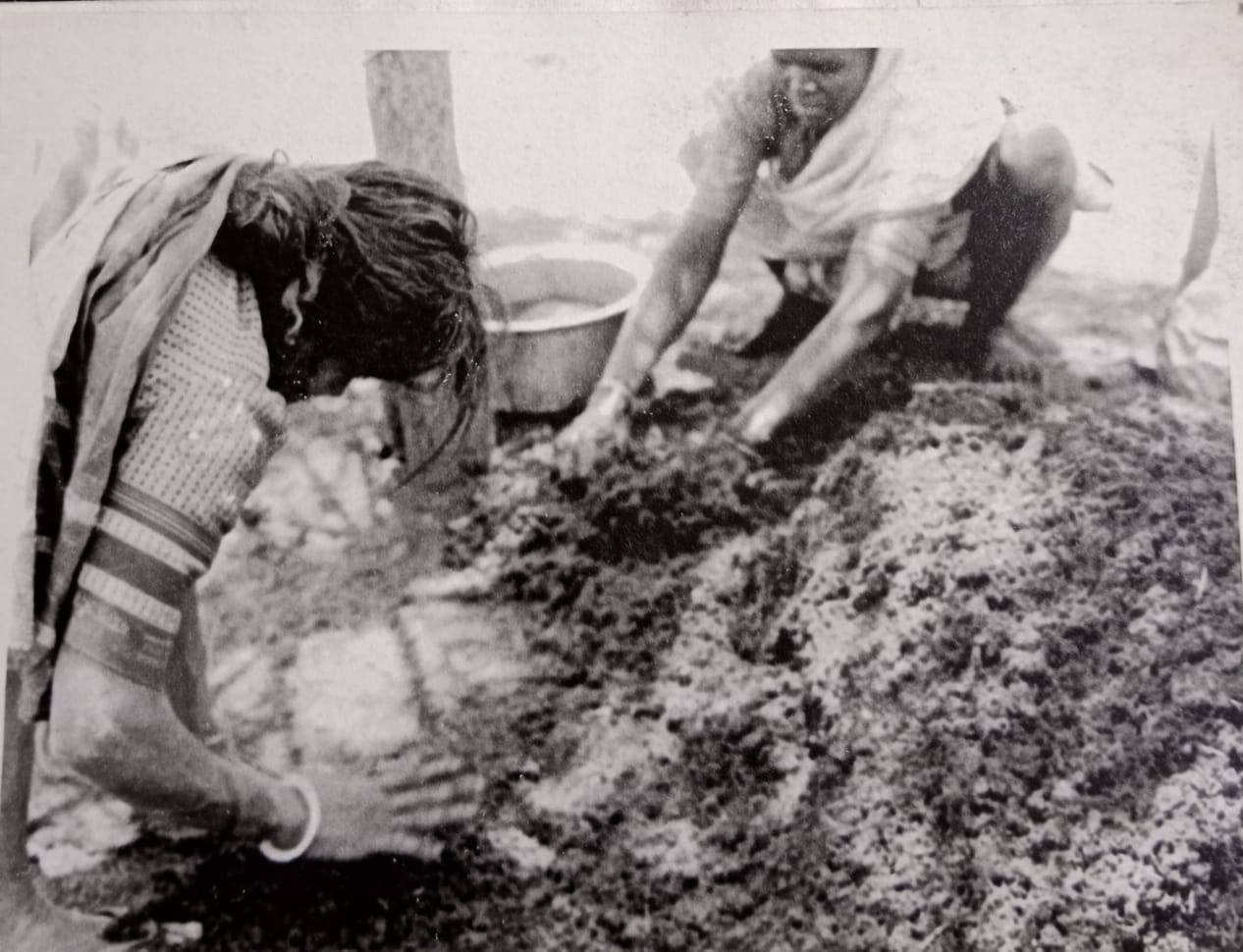 Daya Bai The Textbook of Mercy ! A Life Extraordinaire: Love Sans ...