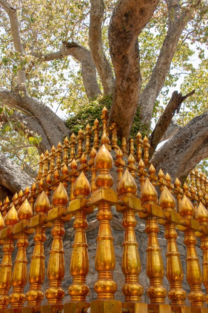 ANURADHAPURA: A Serene Slice of Sri Lanka's History - The WFY