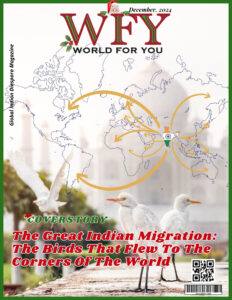WFY Magazine - The WFY